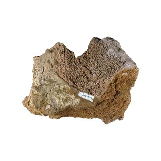 National Taiwan Museum-Home